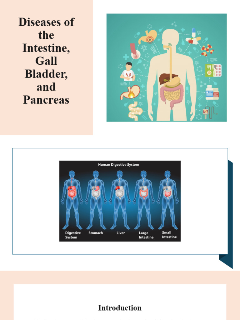Digestive System Pathology | PDF | Gastrointestinal Tract | Gallbladder