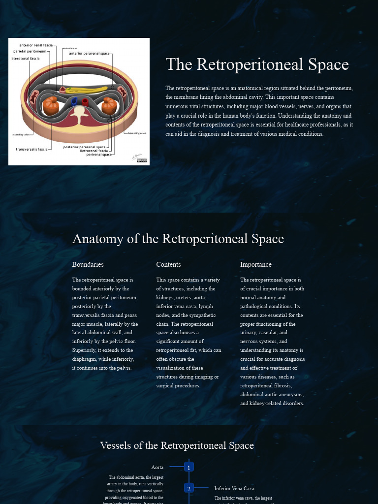 Retroperitoneal Space Topography | PDF | Kidney | Aorta