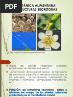 Nectarios: Glándulas de Néctar en Plantas | PDF | Hoja | Botánica