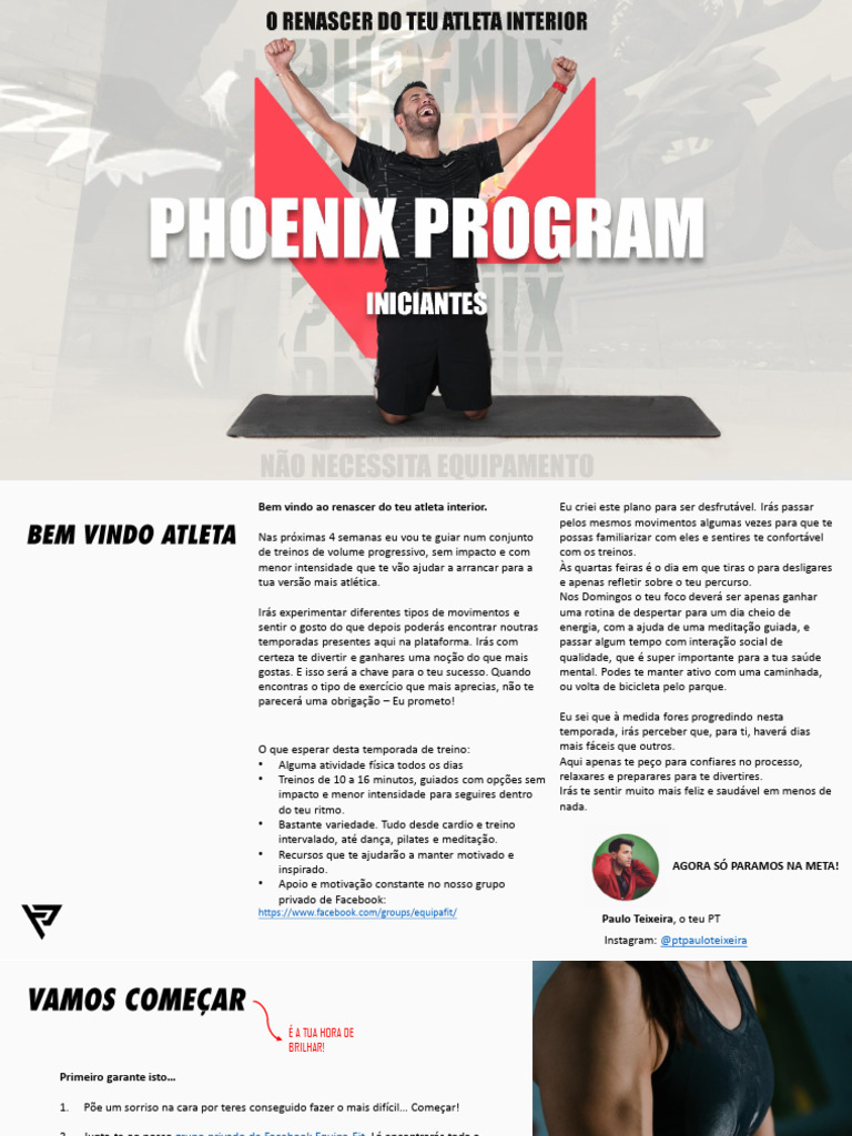 Phoenix Program | Download grátis PDF | Tempo | Pé (unidade de medida)