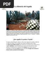 Tipos de Agave en Mexico y Sus Regiones. | PDF | Botánica | Plantas
