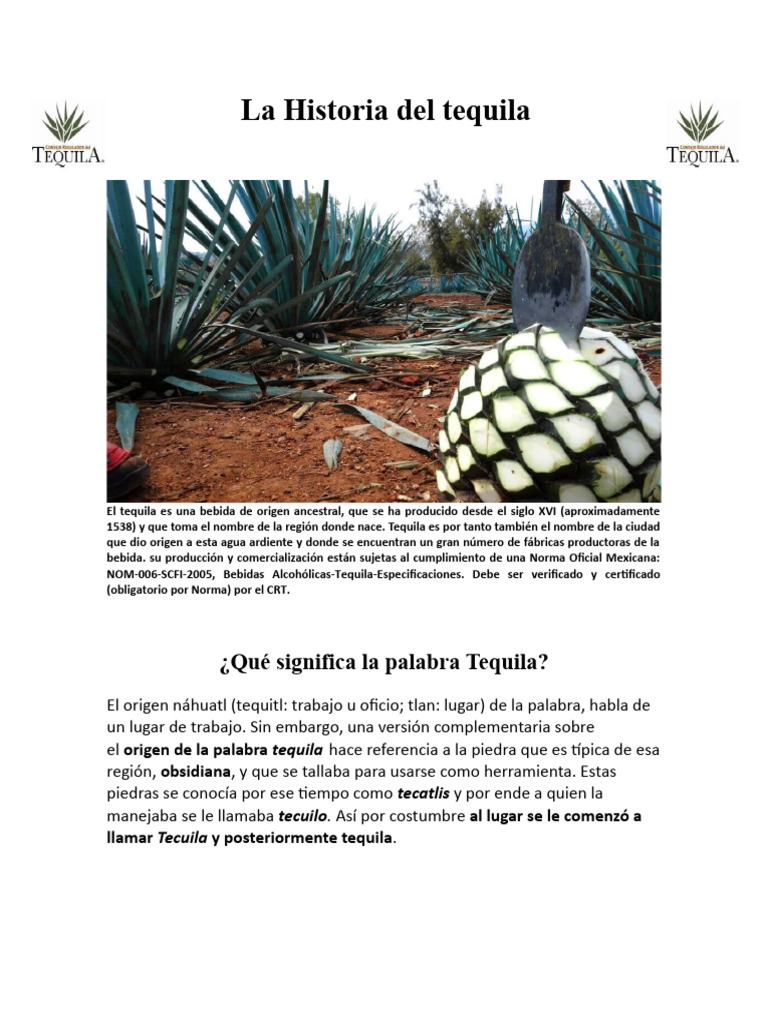 Historia Del Tequila | PDF | Bebidas alcohólicas