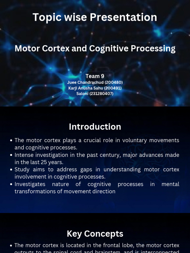 Motor Cortex and Cognitive Processing - T9 | PDF | Cerebral Cortex | Cerebellum