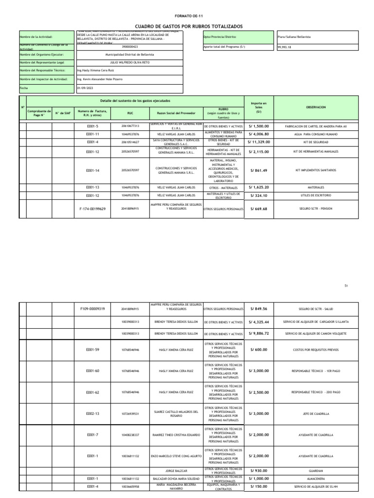 Formato Oe - 11 | PDF