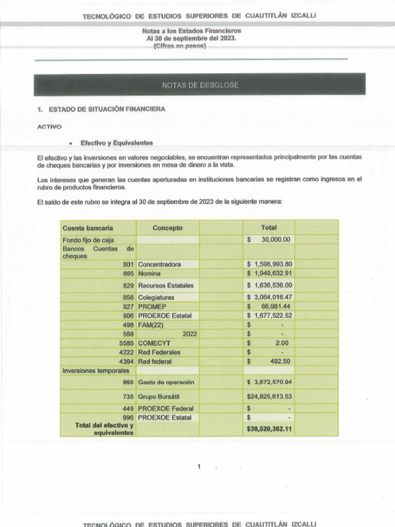d.2.7 Notas A Los Estados Financieros 2 | PDF