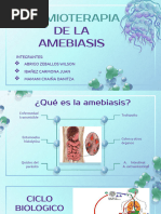 Amebax Inserto WEB | PDF | Ciencias de la Salud | Medicina CLINICA