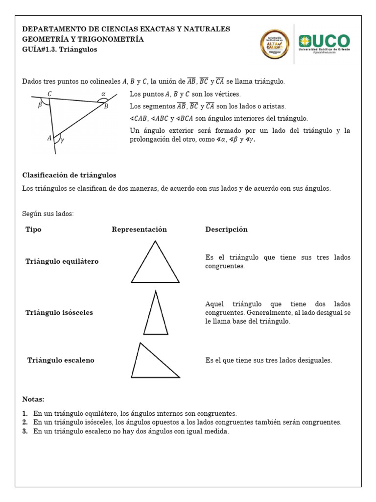 Guía Triángulos | PDF | Triángulo | Geometría del plano euclidiano