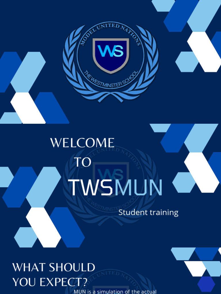 MUN Training 1 - Girls Side | PDF | Committee | Parliamentary Procedure