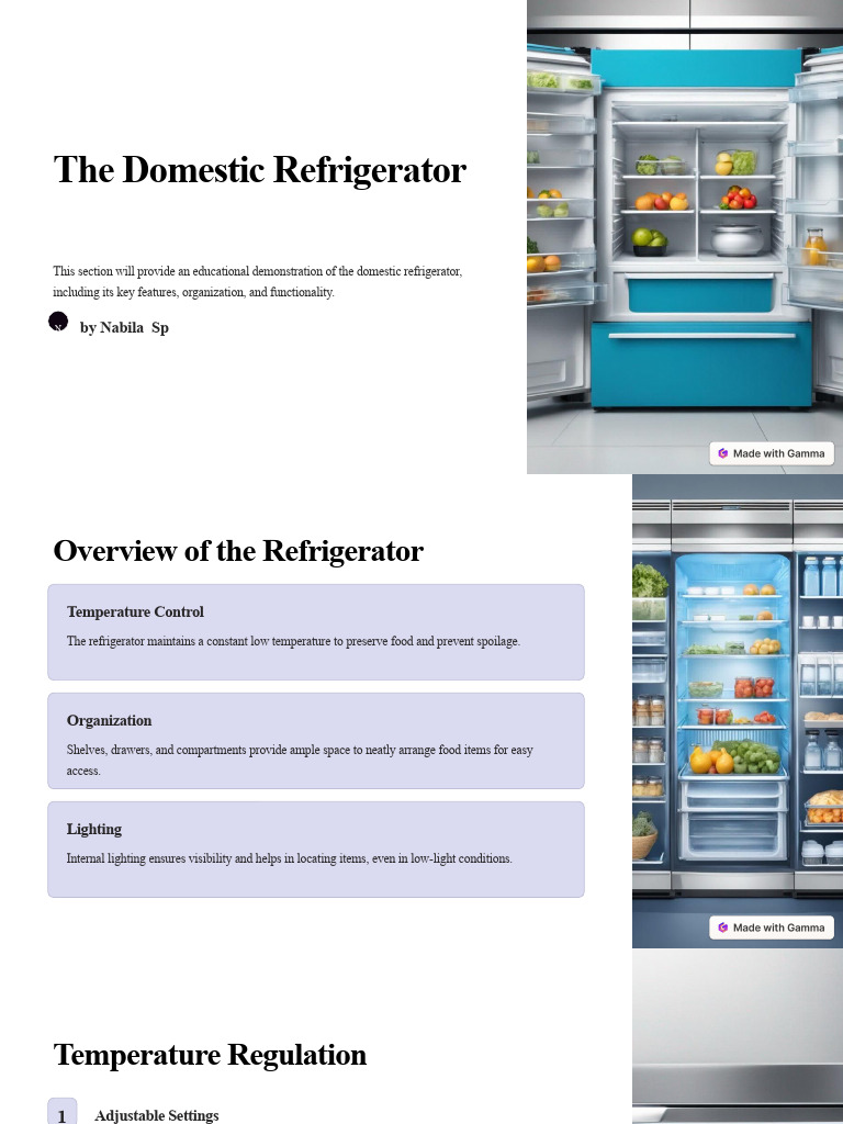 Domestic Refrigerator Features & Care Guide | PDF | Refrigerator ...
