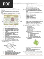 CH-6 - Plant Nutrition - Revision Sheet-AK | PDF | Photosynthesis ...