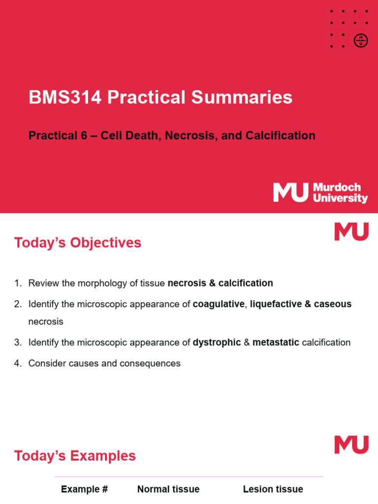 Prac6_Summary | PDF | Necrosis | Clinical Medicine
