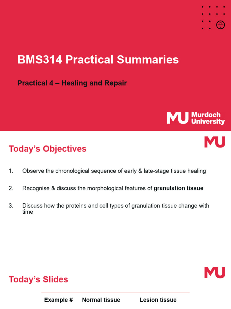 Prac4 - Summary 2023 | PDF | Wound Healing | Diseases And Disorders