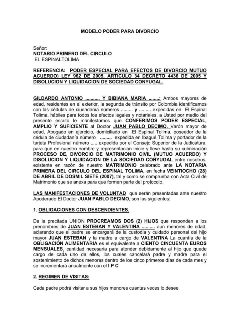 Modelo Poder-Divorcio | PDF | Propiedad de la comunidad | Divorcio