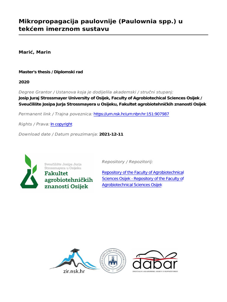 Marin Maric-Diplomski Rad | PDF