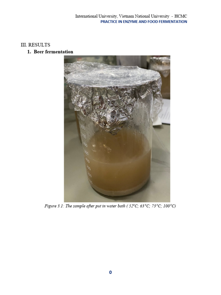 Experiment 2 | PDF | Fermentation | Yeast