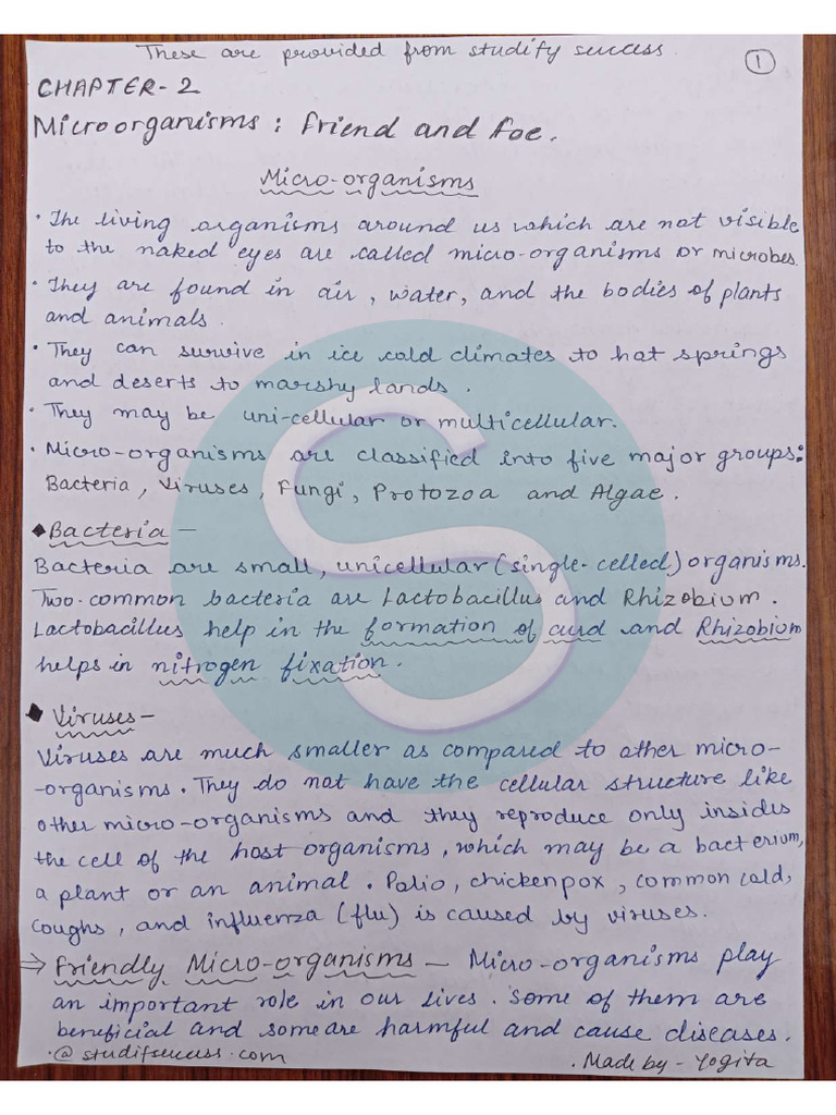 Class 8 CH 2 Notes | PDF