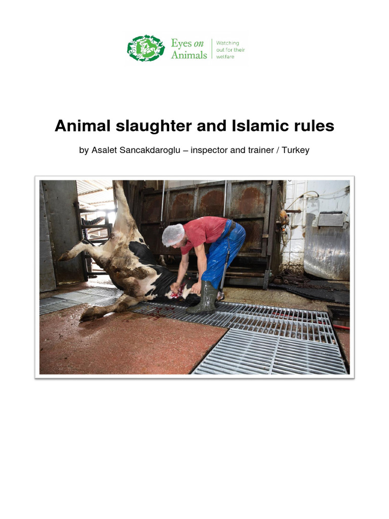 Animal Slaughter and Islamic Rules - Asalet Sancakdaroglu - Eyes On ...