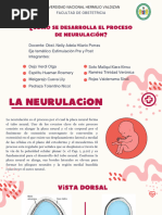 Desarrollo Embrionario III Neurulación | PDF | Anatomía | Biología del ...