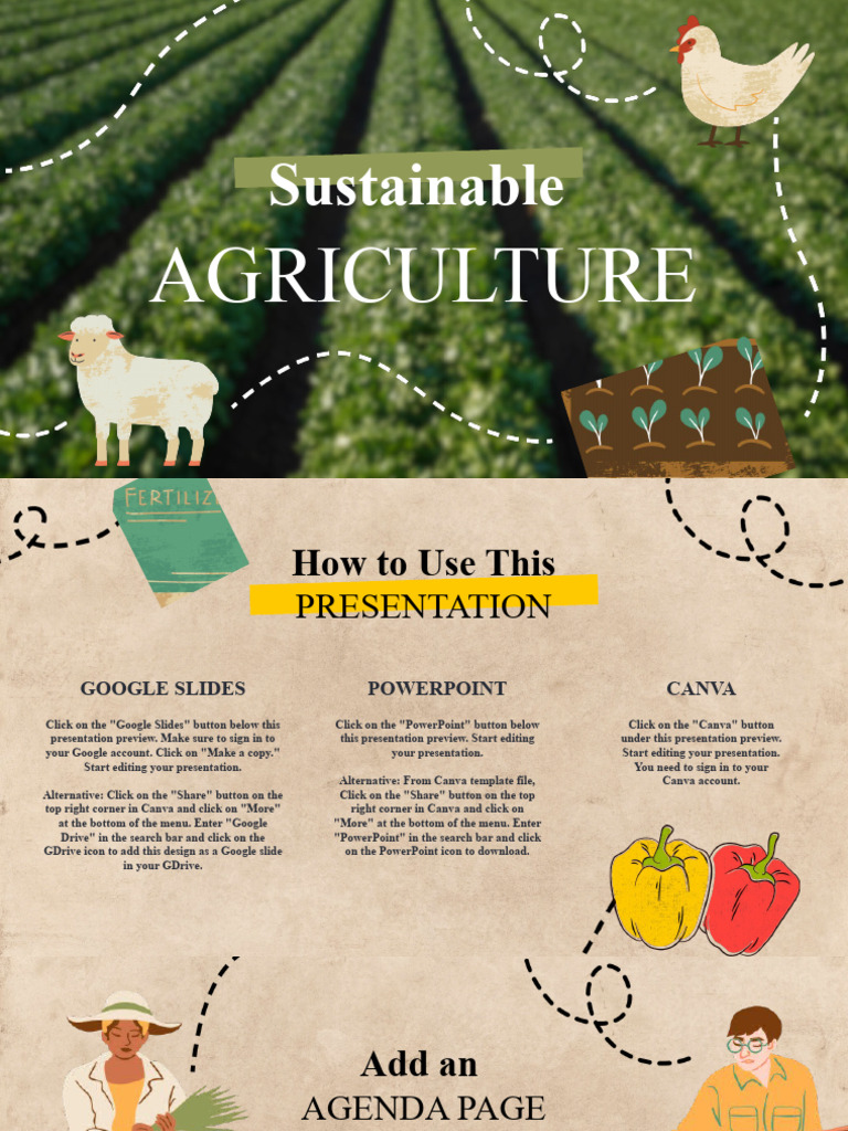 Sustainable Agriculture Illustrative Presentation | PDF | Microsoft ...