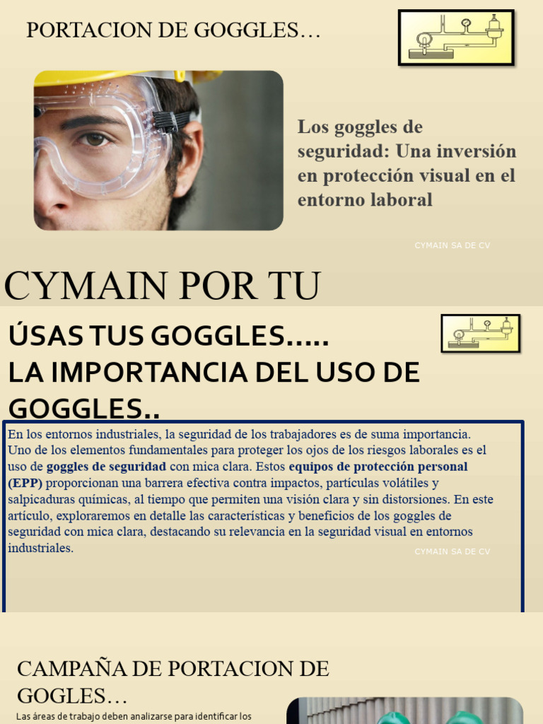 GOGLES | PDF | Business