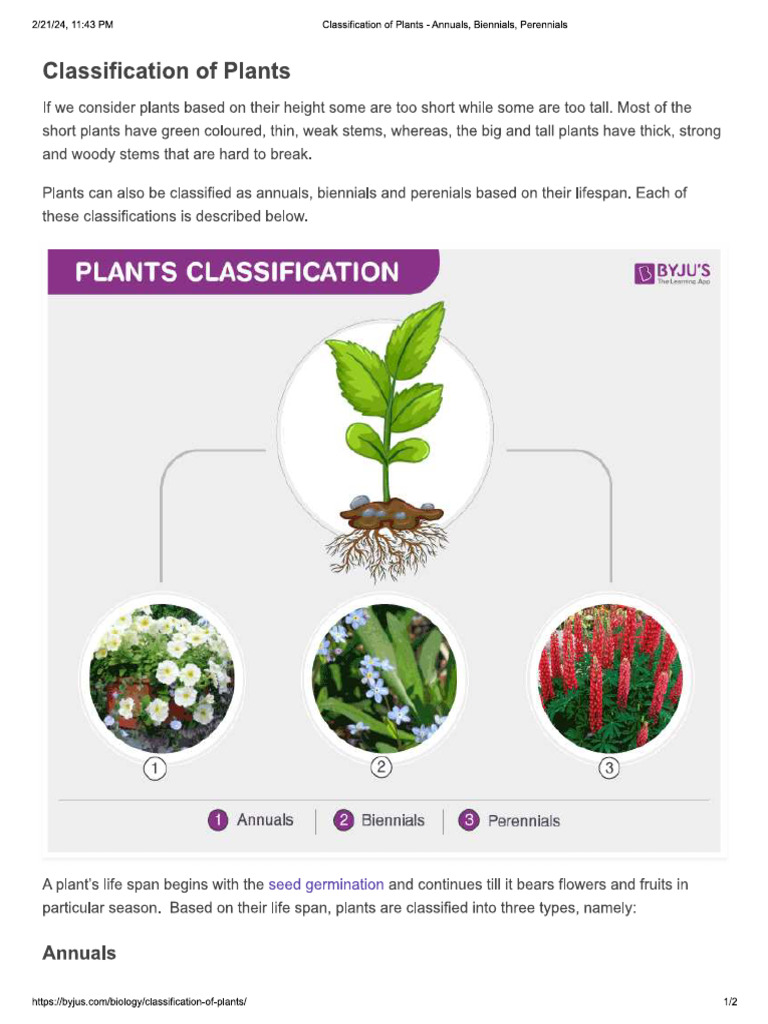 classification of plants | PDF