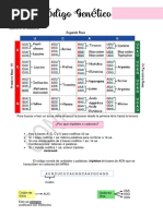 Tabla de Codones | PDF | Serina | Codigo genetico