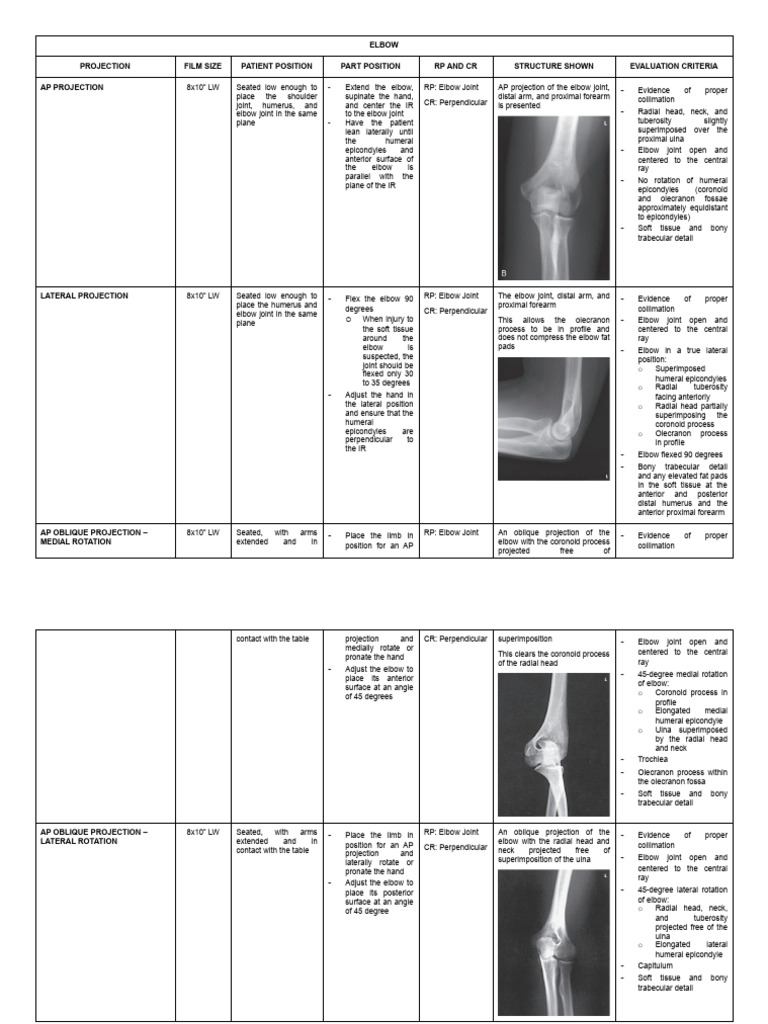 Elbow Matrix | PDF | Elbow | Arm