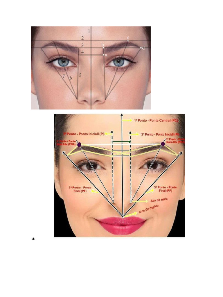 PASOS para Corte y Cejas | PDF