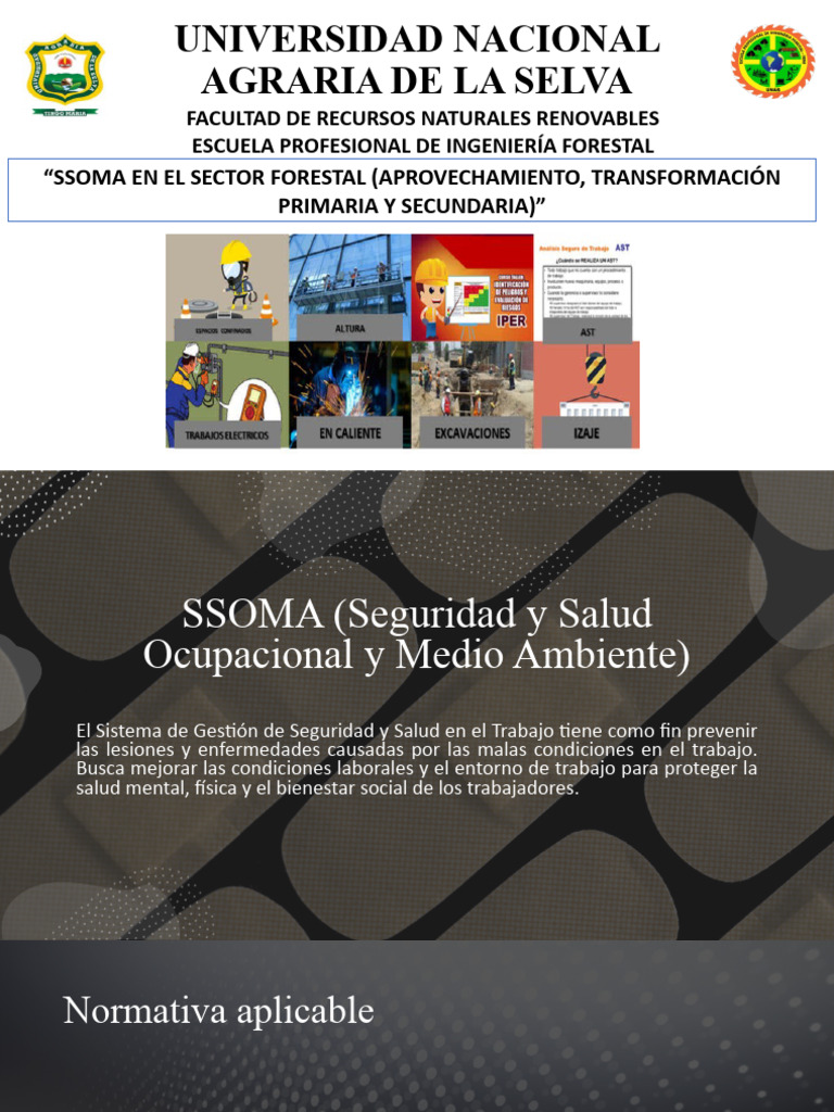 Ssoma en El Sector Forestal | PDF | Valores | Los bosques