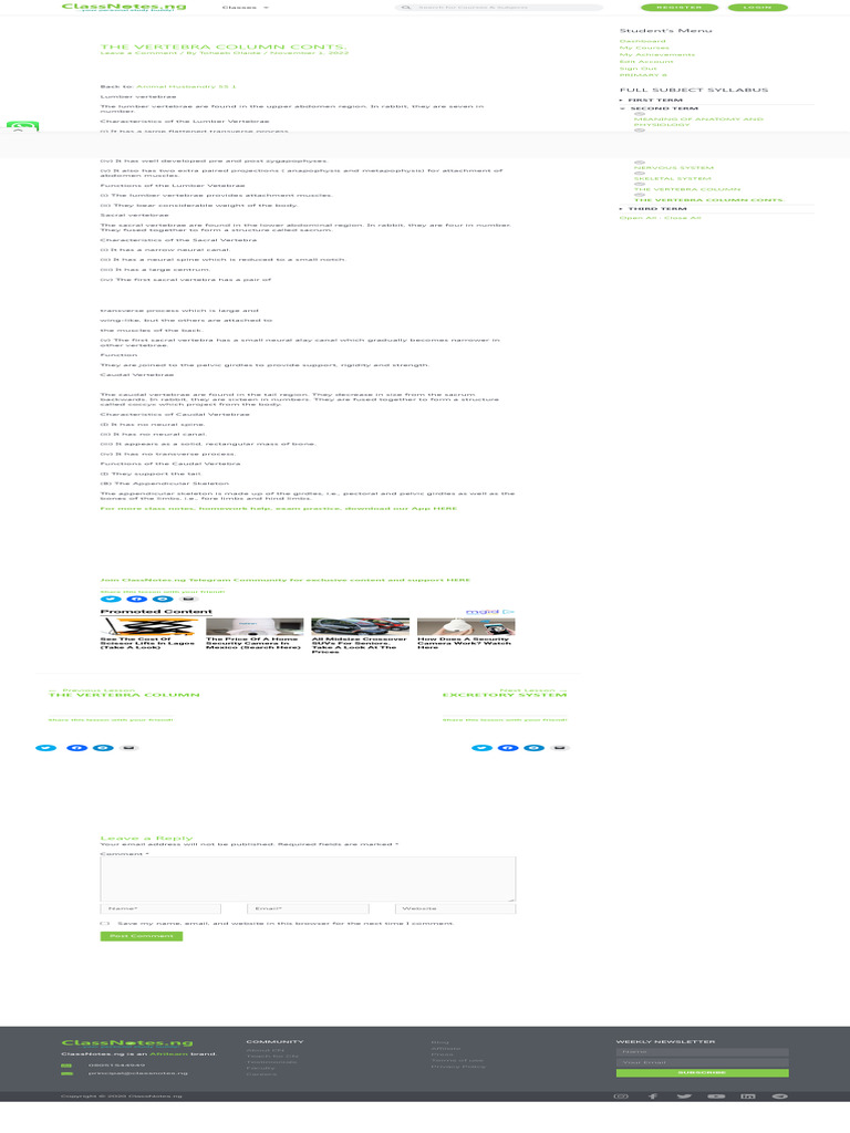 The Vertebra Download Free Pdf Vertebral Column Vertebra