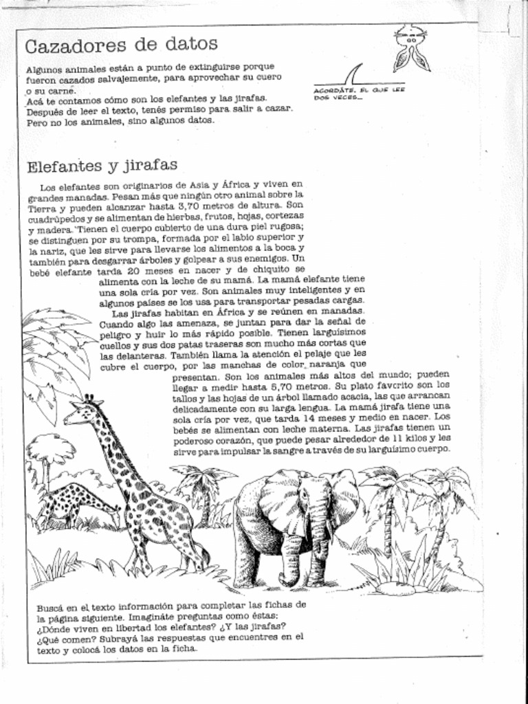 Textos No Ficcional para Actividad de Lectura | PDF