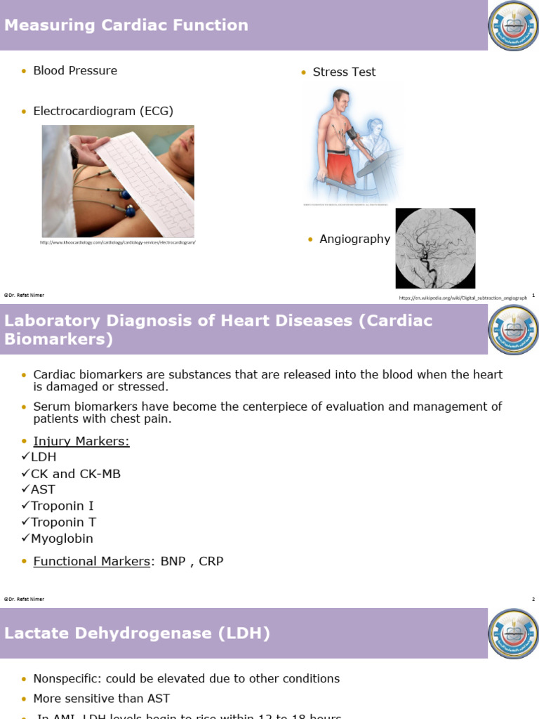 Cardiac Function (2) | PDF | Lactate Dehydrogenase | Cardiovascular System