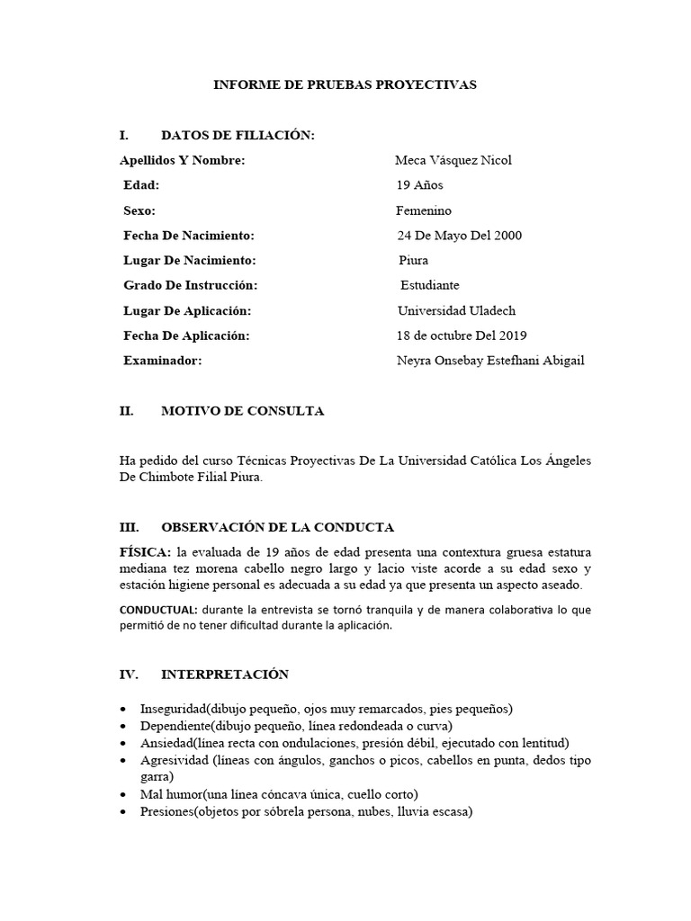 INFORME DE PRUEBAS PROYECTIVA1 ejemplo | PDF