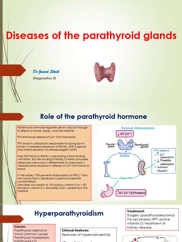 Diseases of The Parathyroid Glands | Download Free PDF | Medical ...