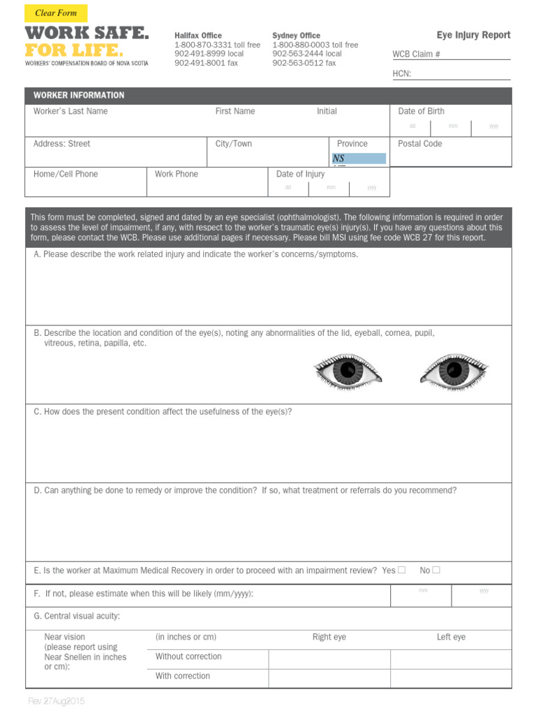 Eye Injury Report Aug2105 Final | PDF | Eye | Human Eye