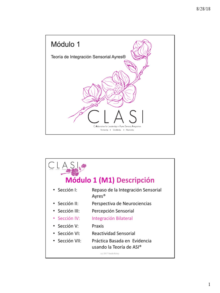 M 16 Bilateral Integration Esp | Descargar gratis PDF | Hemisferio cerebral | Coordinación motriz