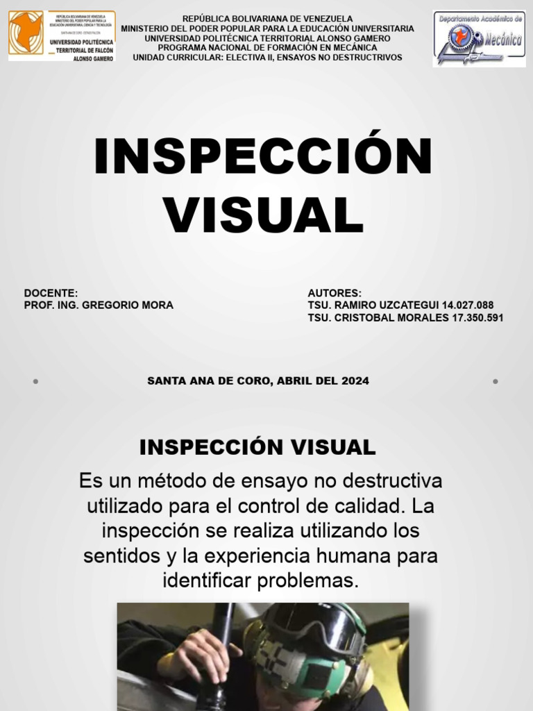 Inspeccion Visual | PDF