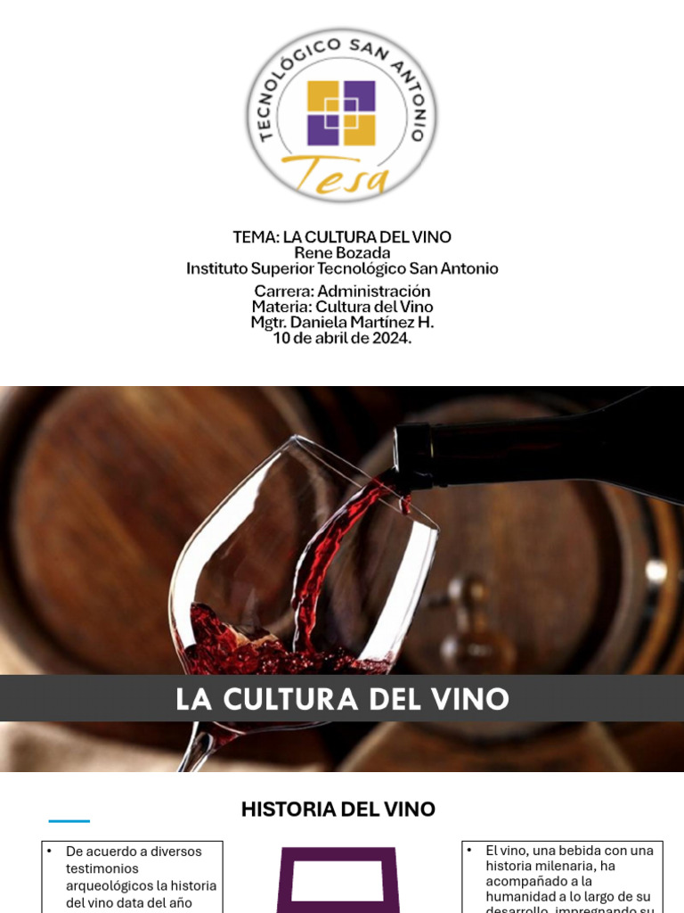 Diapositiva Cultura Del Vino Rene Bozada | PDF | Vino | Uva
