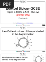 Brightness Acuity Test | PDF | Visual Acuity | Cataract