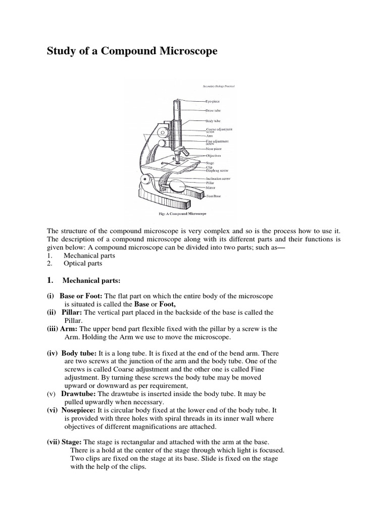biology practical (1) ssc | PDF | Osmosis | Flowers