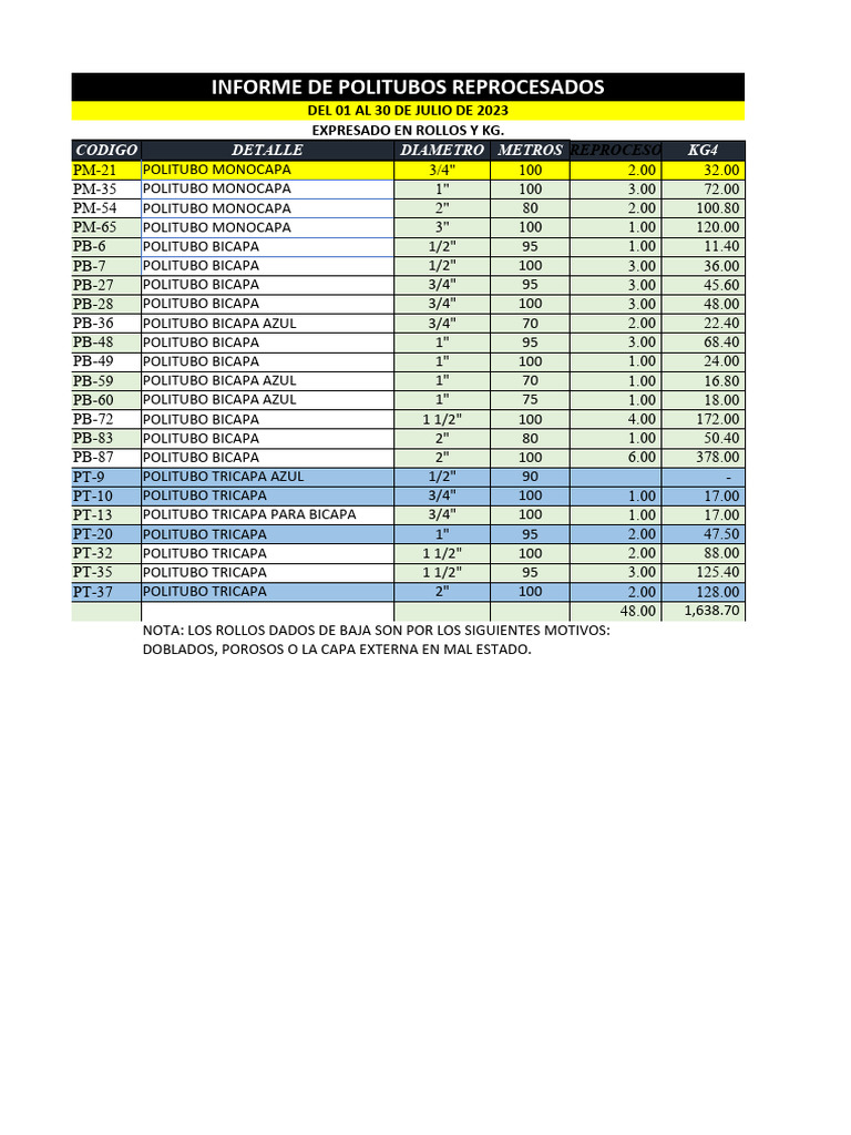 Informe de Reproceso Julio | PDF | Hogar, jardinería y bricolaje