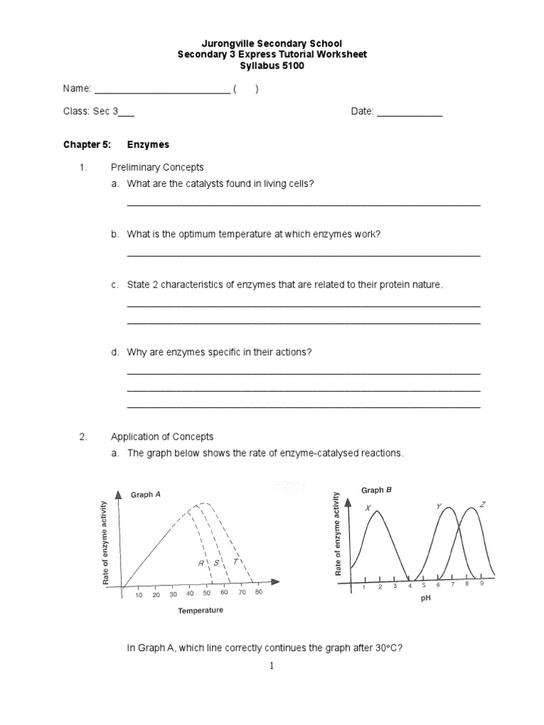 Chapter 4 Enzymes - Worksheet | PDF | Enzyme | Ph
