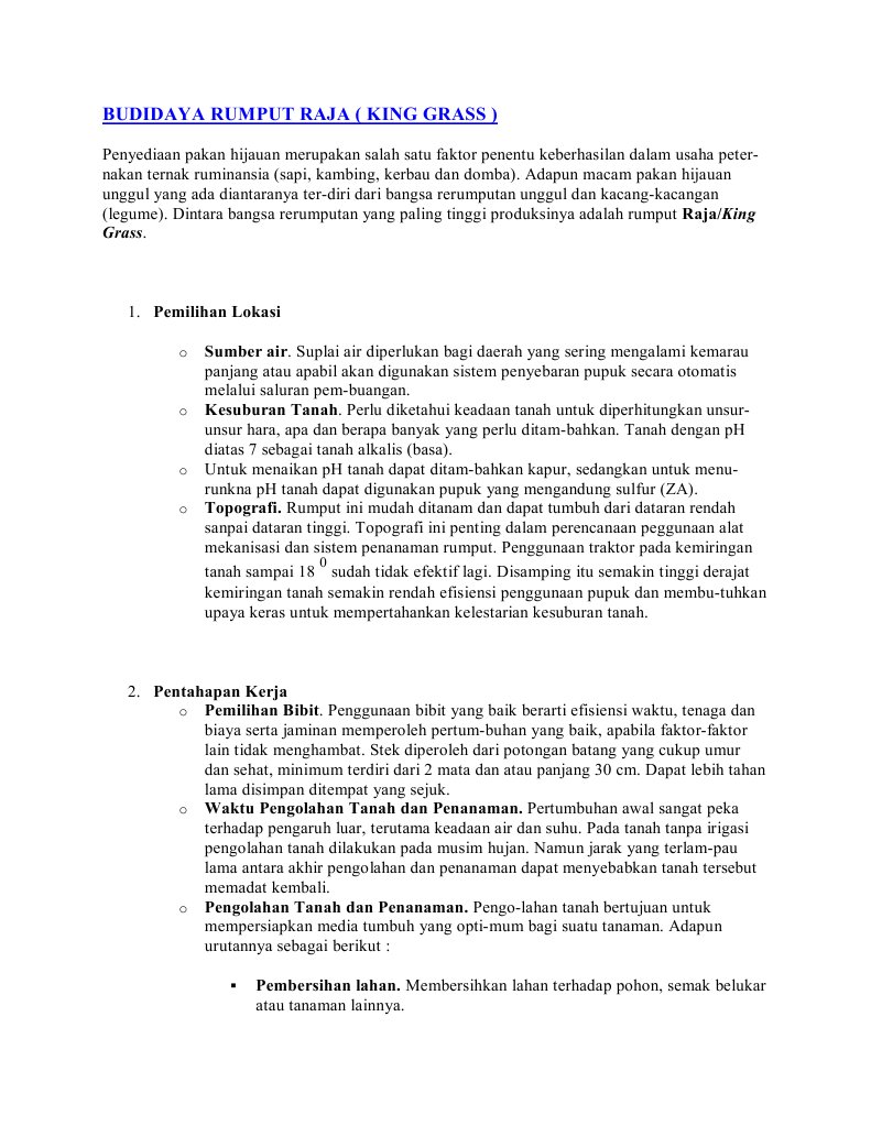 Budidaya Rumput Raja | PDF | Sains & Matematika | Teknologi & Rekayasa