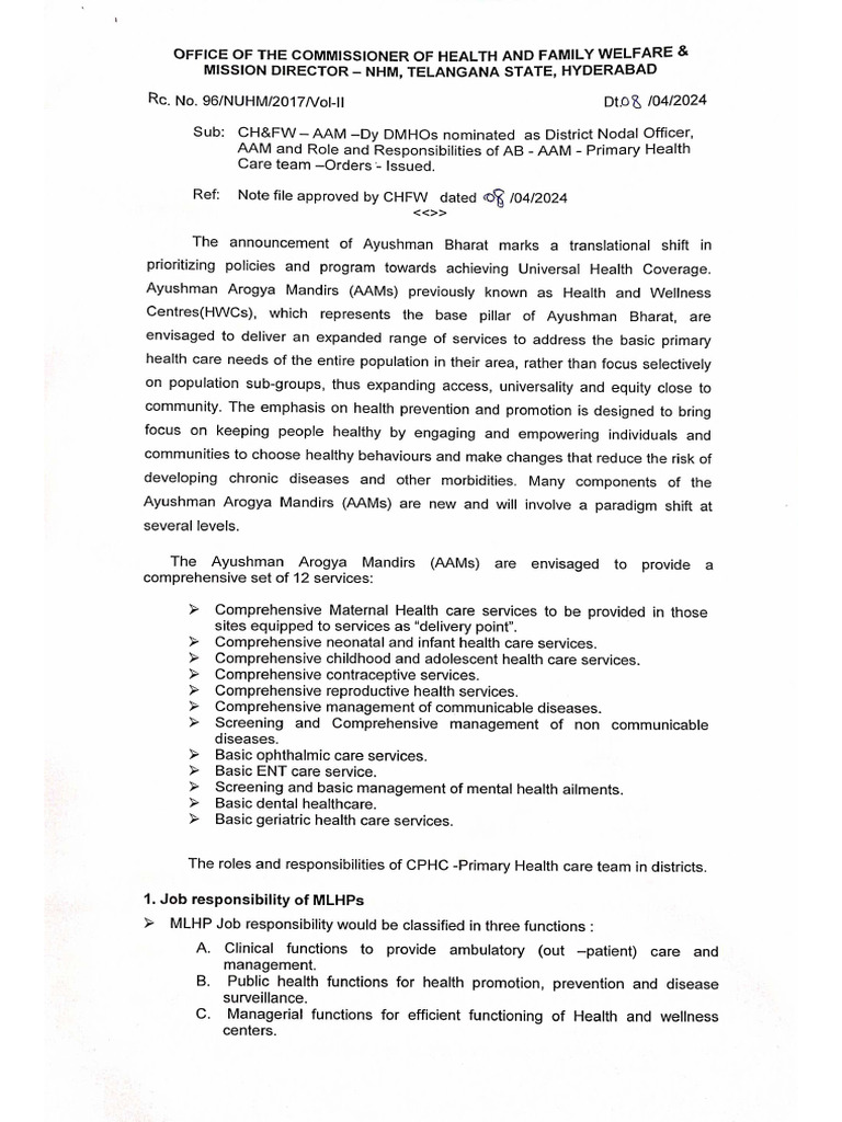 AAM roles and responsibilities | PDF