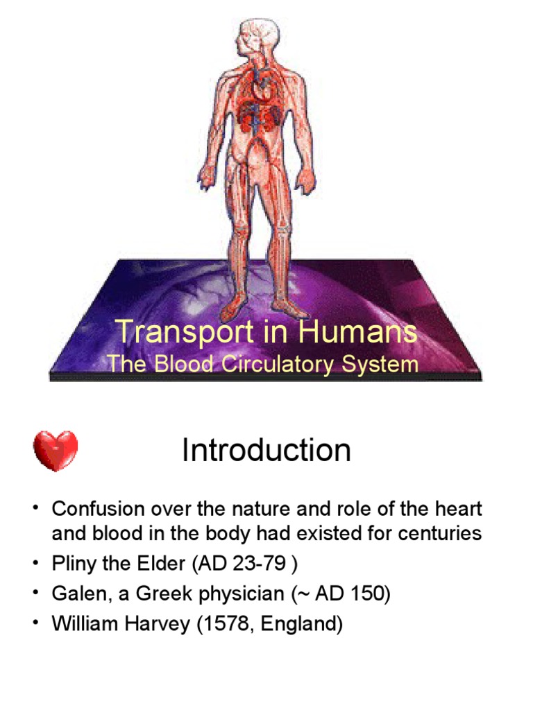 Chapter 8 - Transport in Mammals | Heart Valve | Heart
