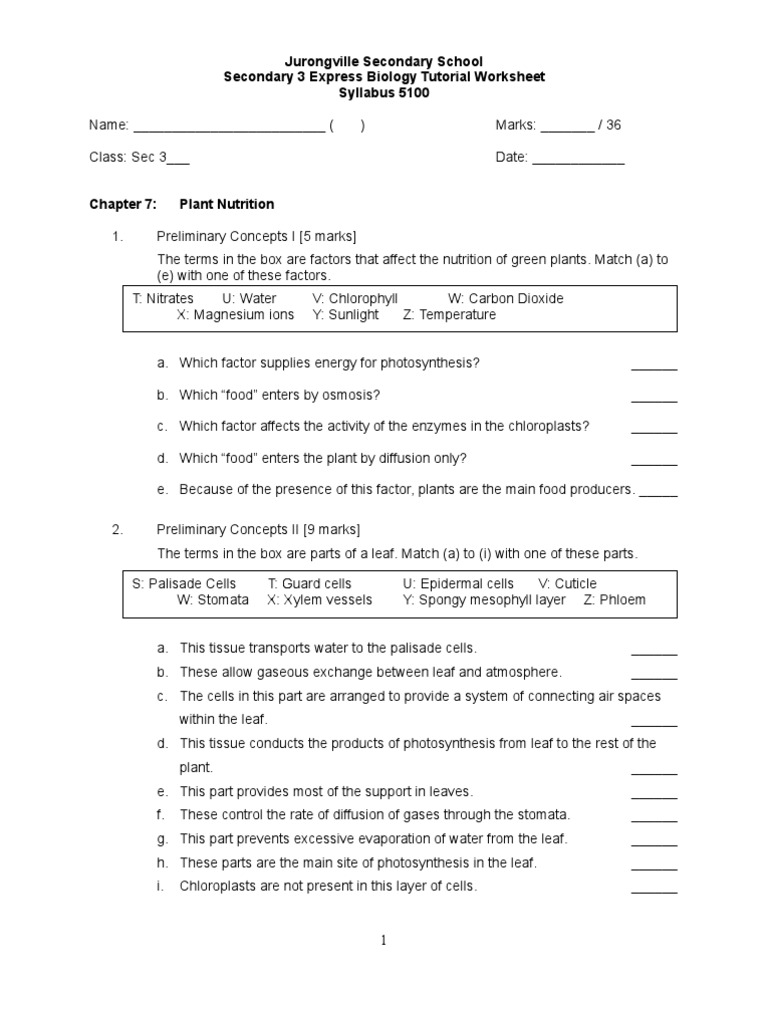 Chapter 7 Plant Nutrition - Worksheet | Stoma | Leaf