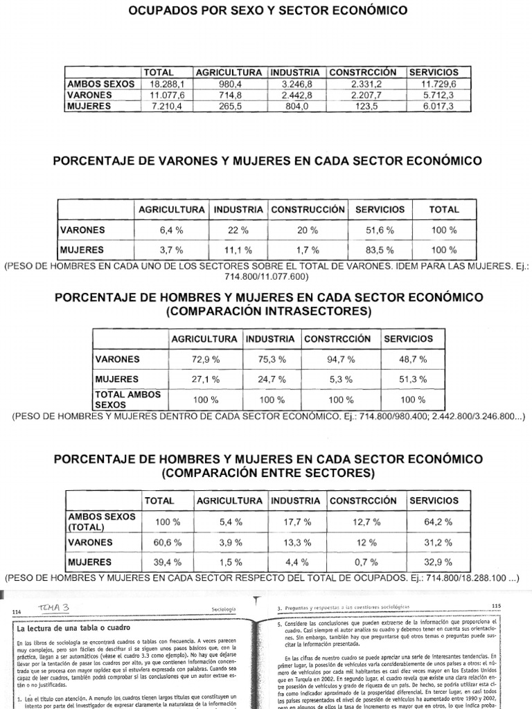 Ejemplo Tablas de Porcentajes Ocuapacion Por Sectores Por Sexos y Como Leerlas | PDF