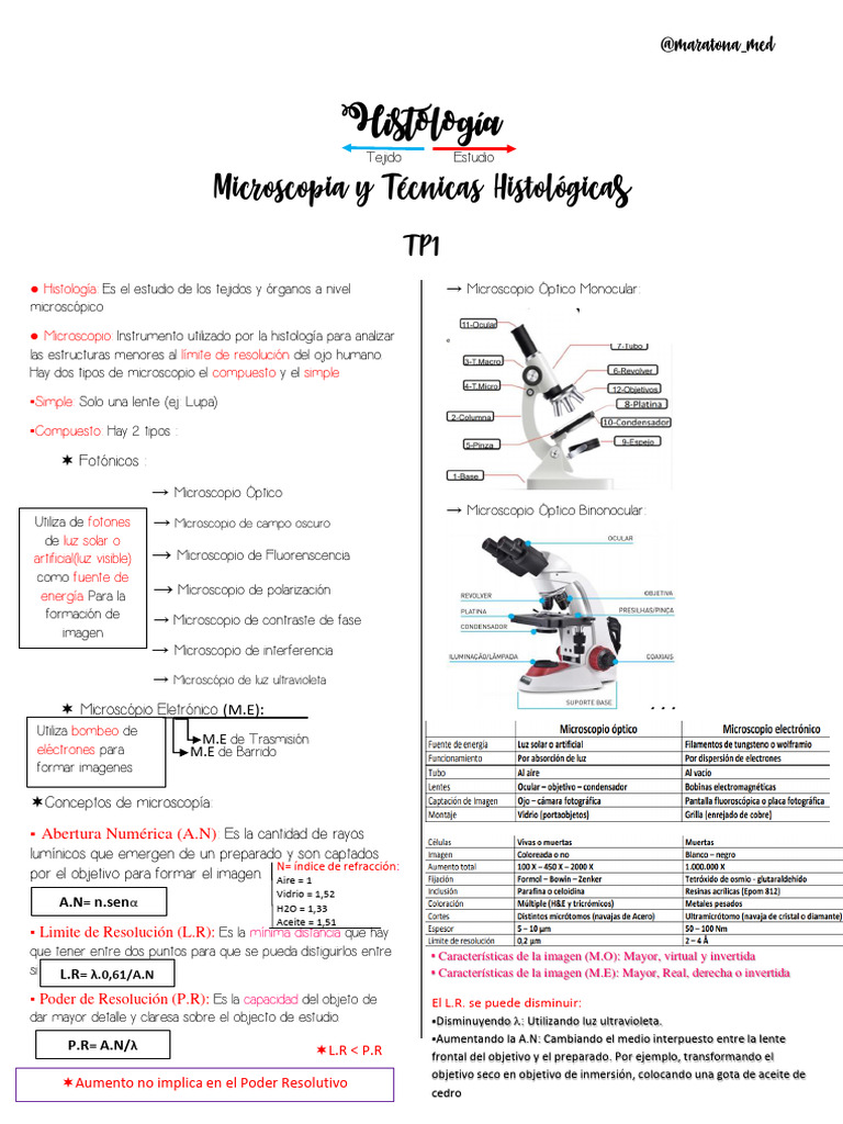 TP1 Miscroscopia y Tecnicas | PDF | Microscopio | Resolución angular