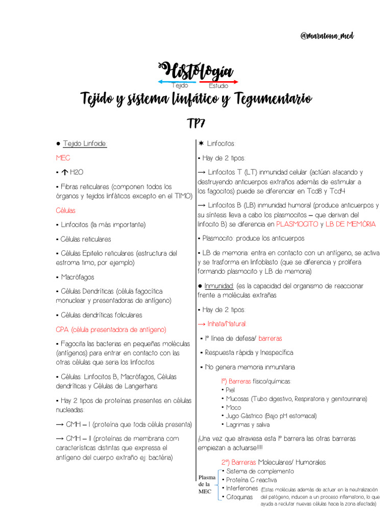 Tp7 Tejido y Sistema Linfatico - Tegumentário | PDF | Ganglio linfático | Sistema linfático