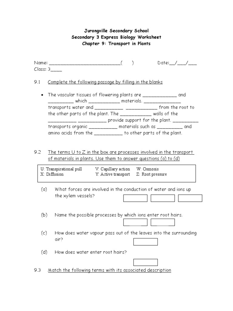 Transport in Plants Worksheet | PDF | Botany | Physiology